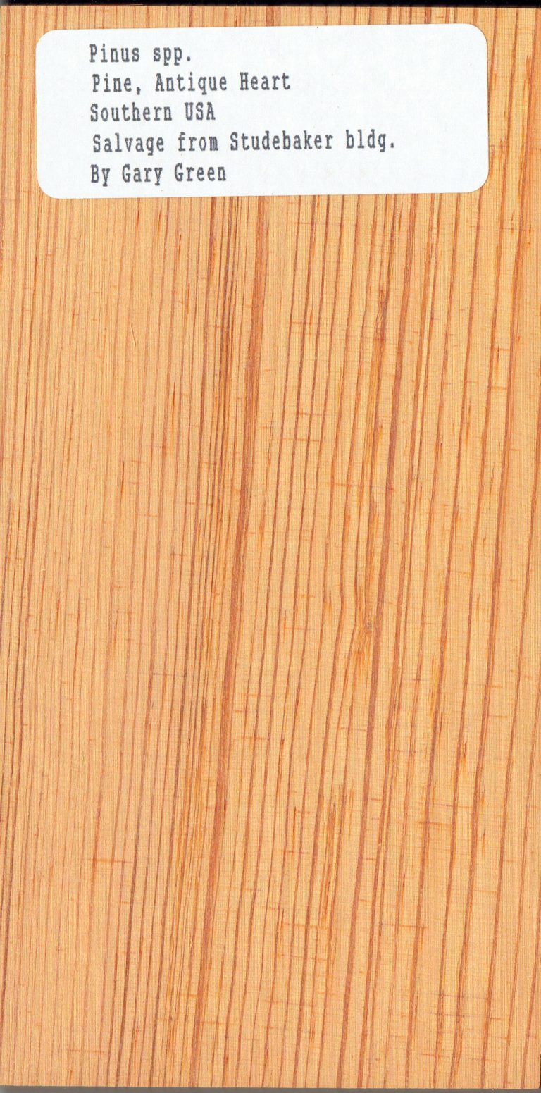 Pinus – G.W. Green